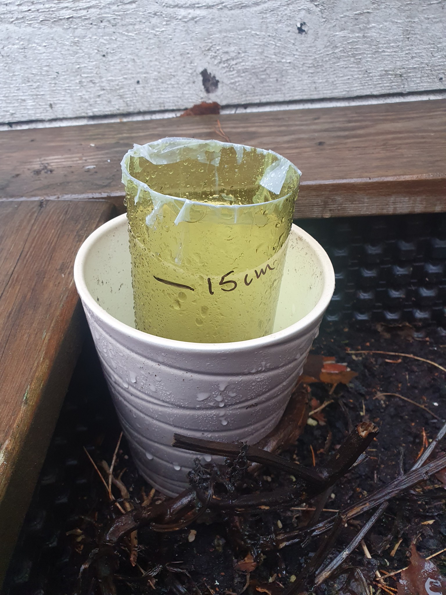 Make your own rain gauge – A tang of science